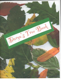 Maine Tree and Leaf Identification Website